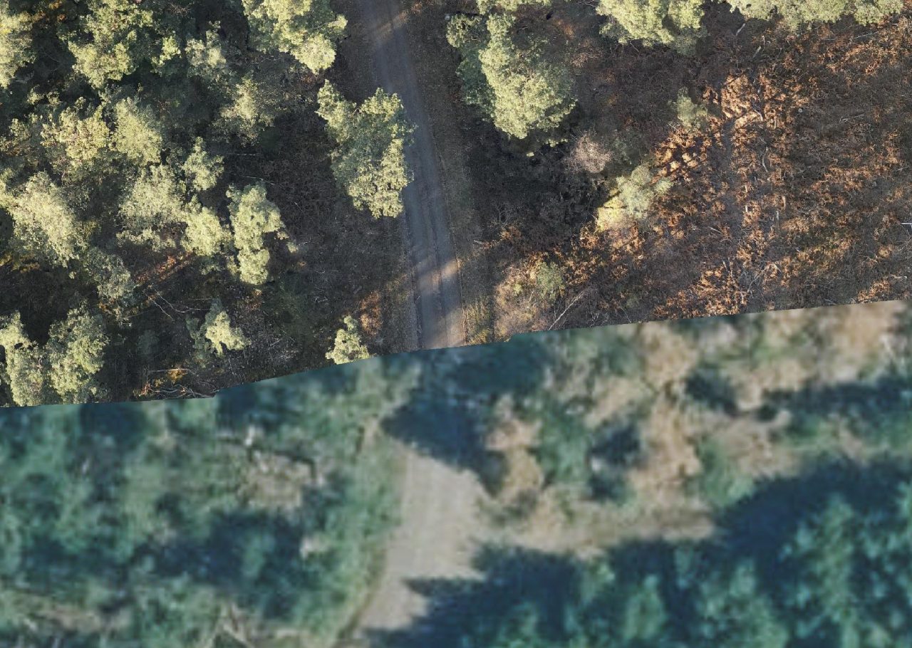 Luftbilder (Orthofotos) | Drohnenbefliegungen in Forst- und Landwirtschaft